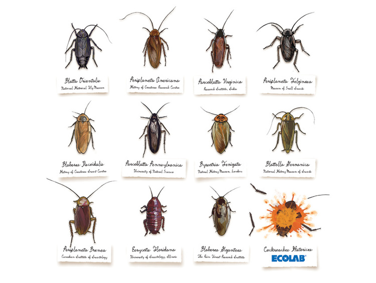 Jonathan Williams - Krop Creative Database