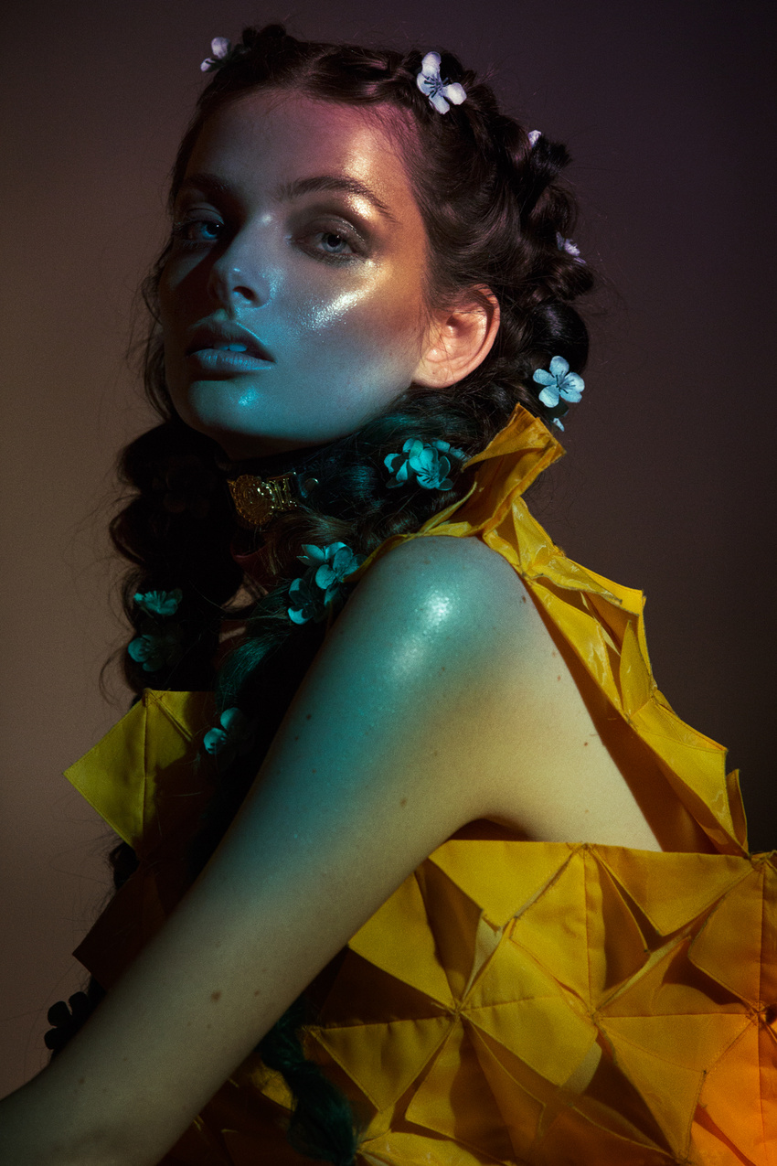 Brian Ziff - Krop Creative Database