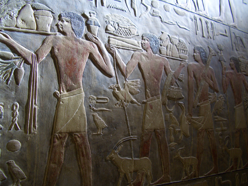 Chip Nusbaum - Krop Creative Database