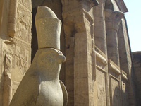 Chip Nusbaum - Krop Creative Database