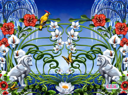 David Adams - Krop Creative Database