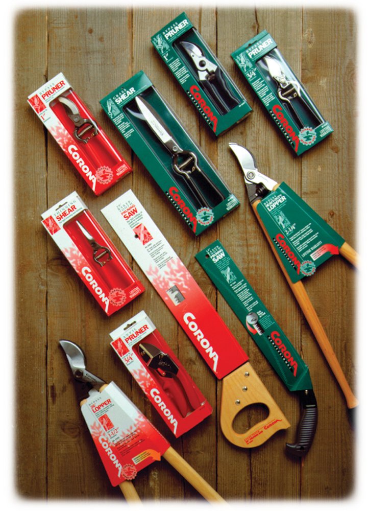 David Sapp - Krop Creative Database