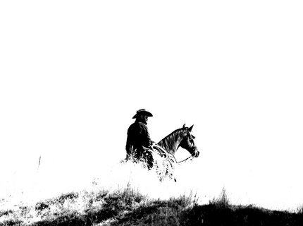 EMERSON MILLER - Krop