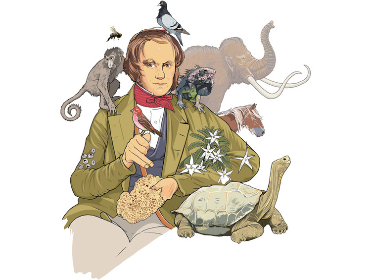 Jonathan Williams - Krop Creative Database