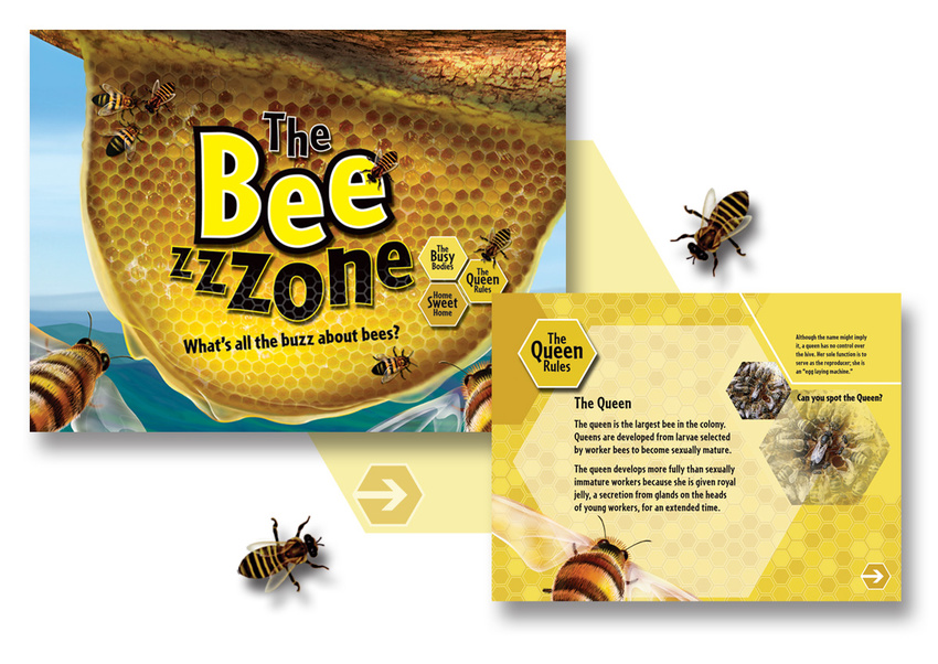 Mark Cruxton - Krop Creative Database