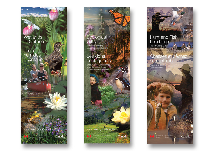 Mark Cruxton - Krop Creative Database