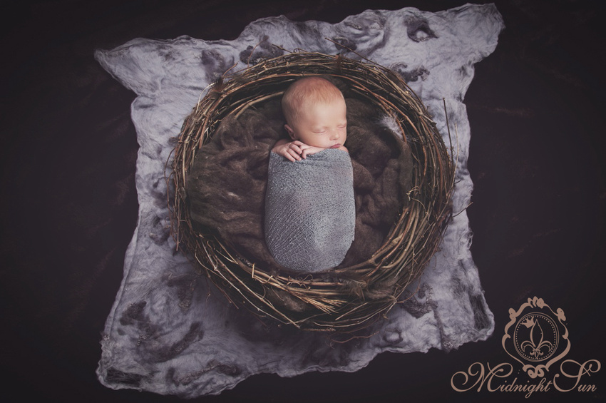 Doris Fastenmeier - Krop Creative Database