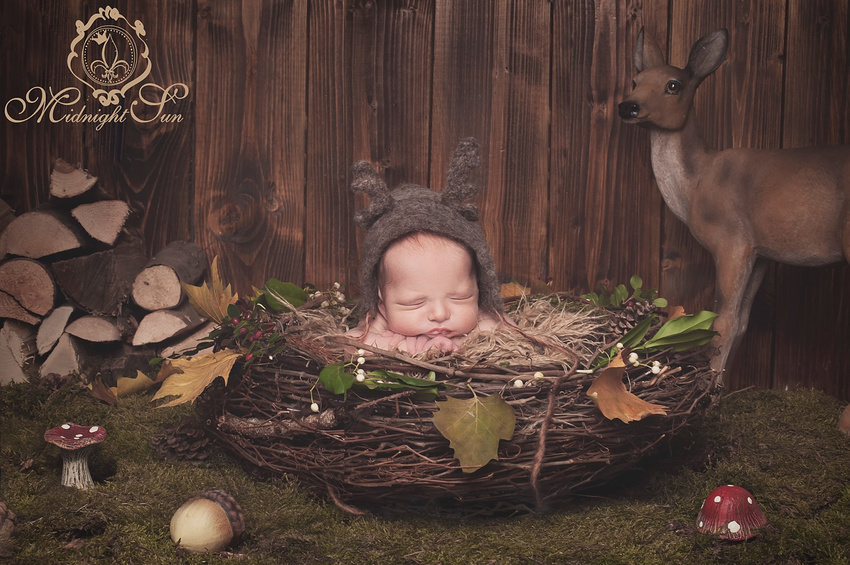 Doris Fastenmeier - Krop Creative Database