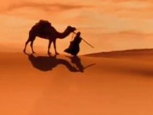 Peter Bex | Art Director/Illustrator | Chicago, Ill