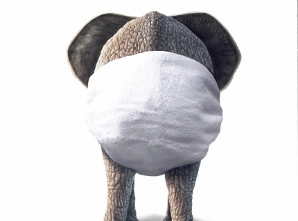 Robert Quick - Krop Creative Database