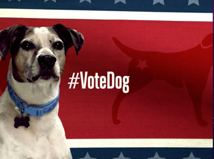 Robyn Stern - Creative Director