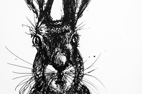 Solange Leon - Krop Creative Database